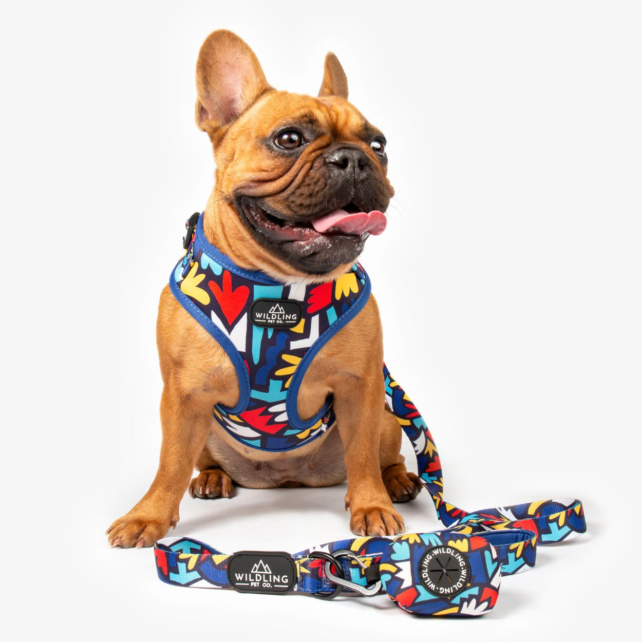 Wildling Pet Co. | Fiesta Collection