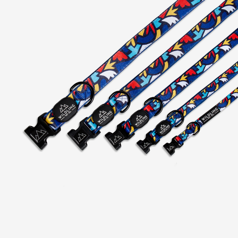 Wildling Pet Co. | Fiesta Dog Collar